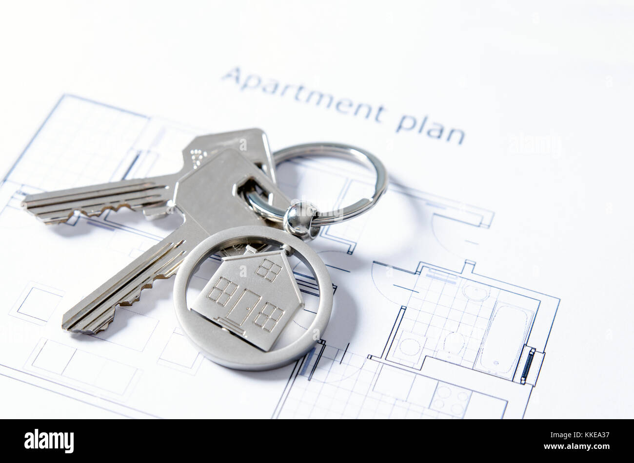 House key on a house shaped pendant. Real estate agent business card ...