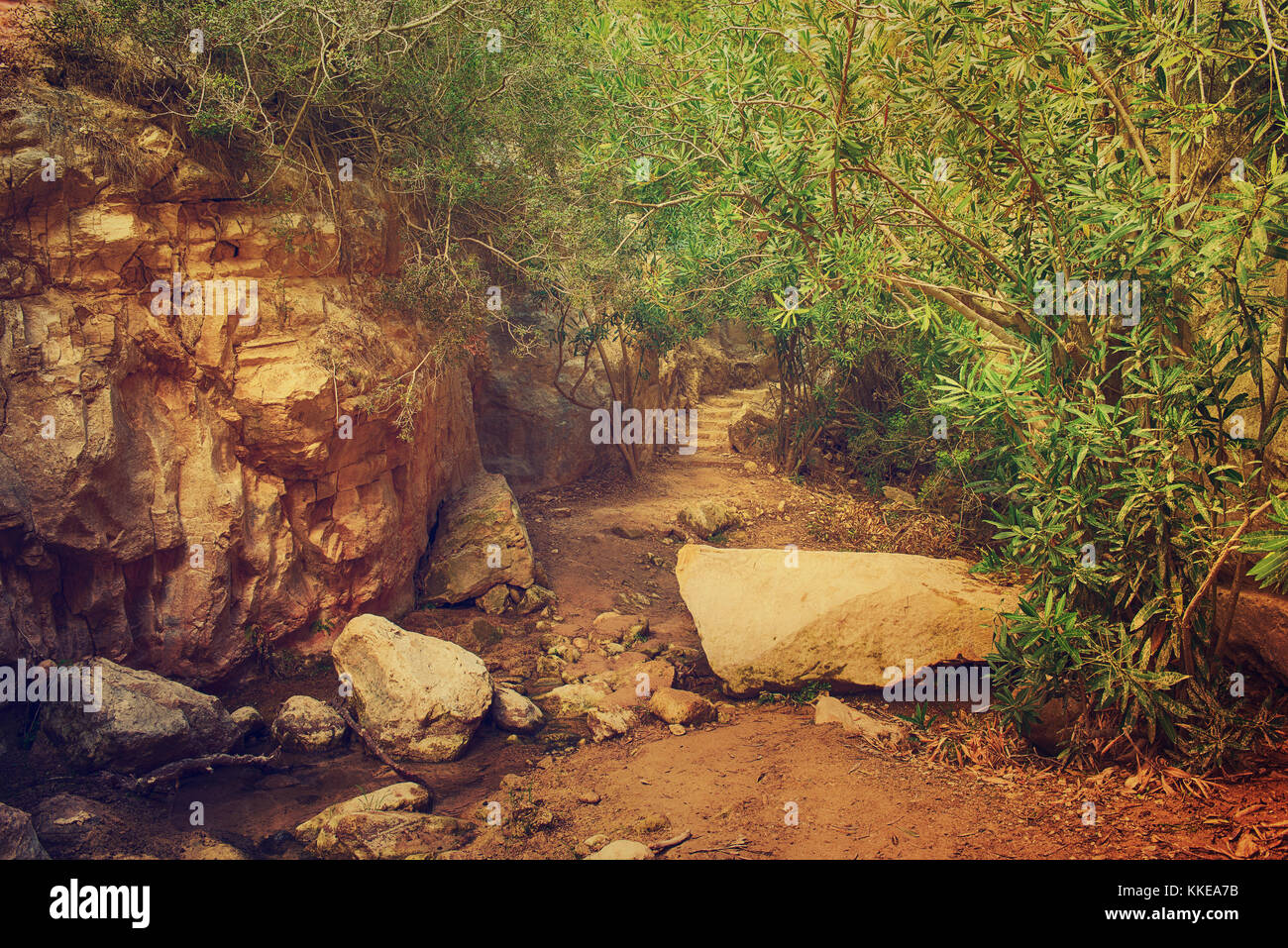 The Avakas canyon Stock Photo - Alamy