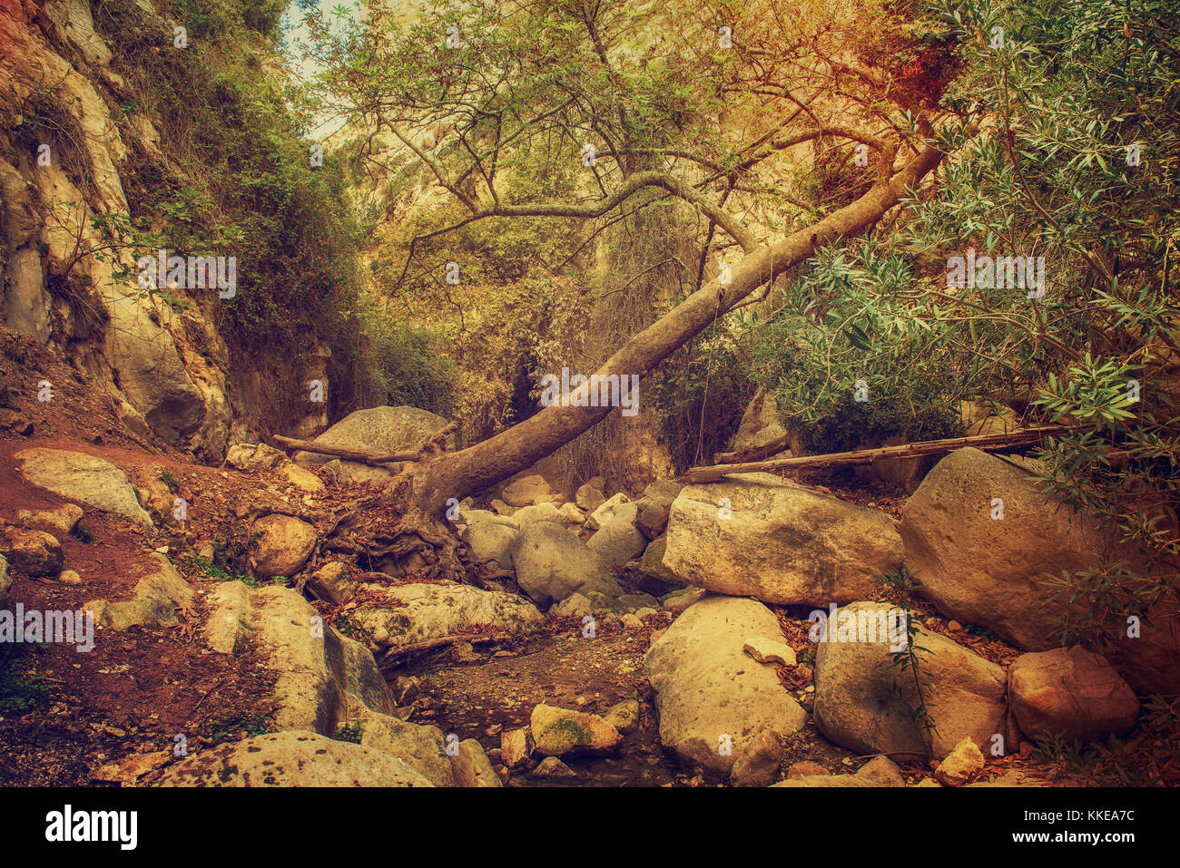The Avakas canyon Stock Photo - Alamy