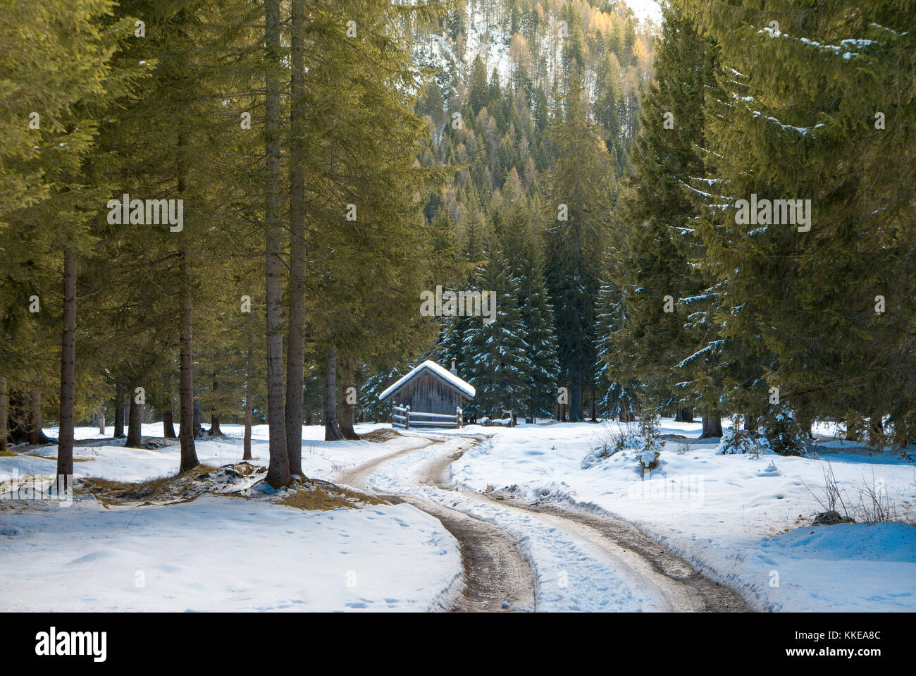 Warm winter scenery, snowy road and small house in the trees Stock ...