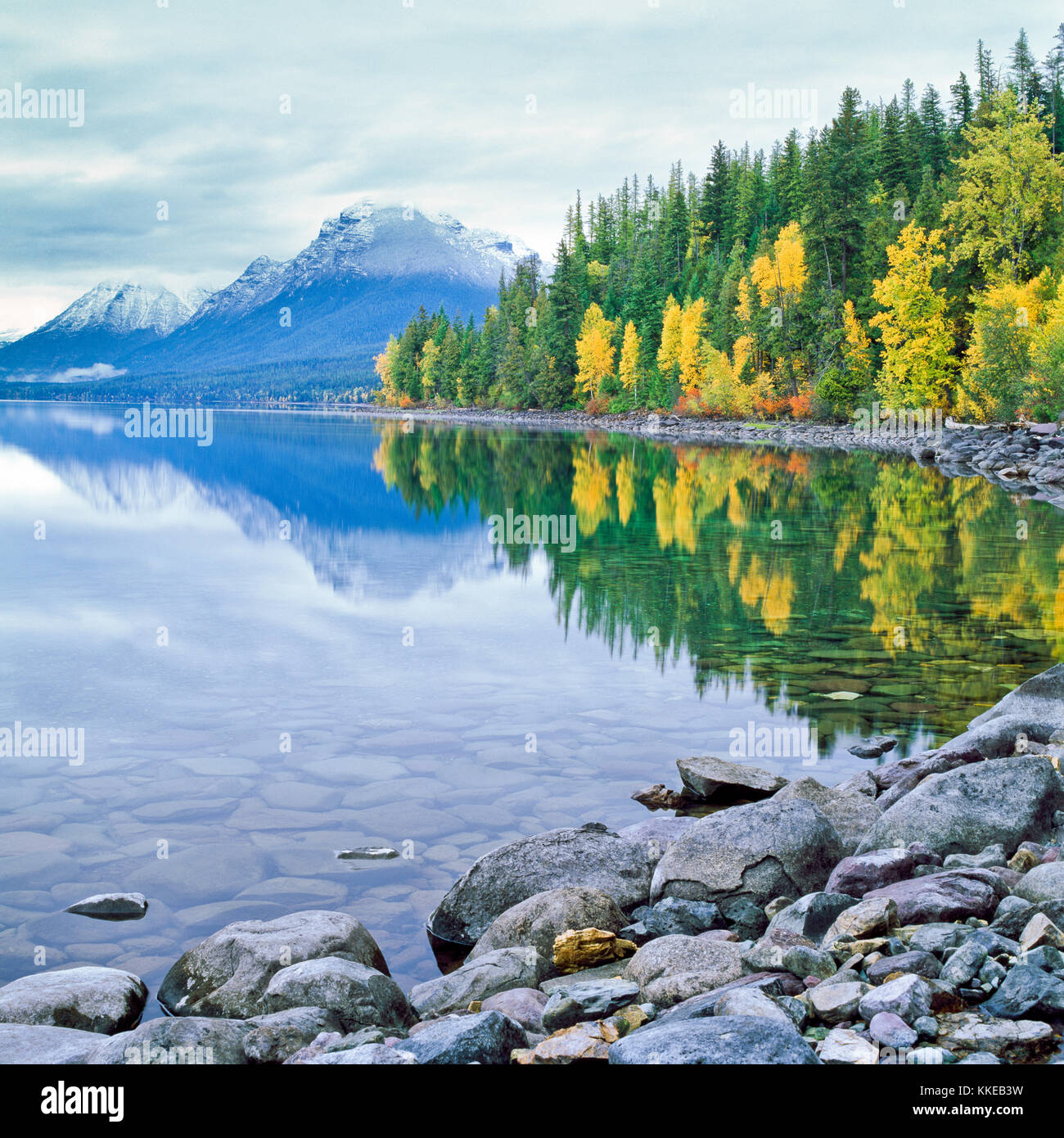 fall colors along the shore of lake mcdonald in glacier national park ...