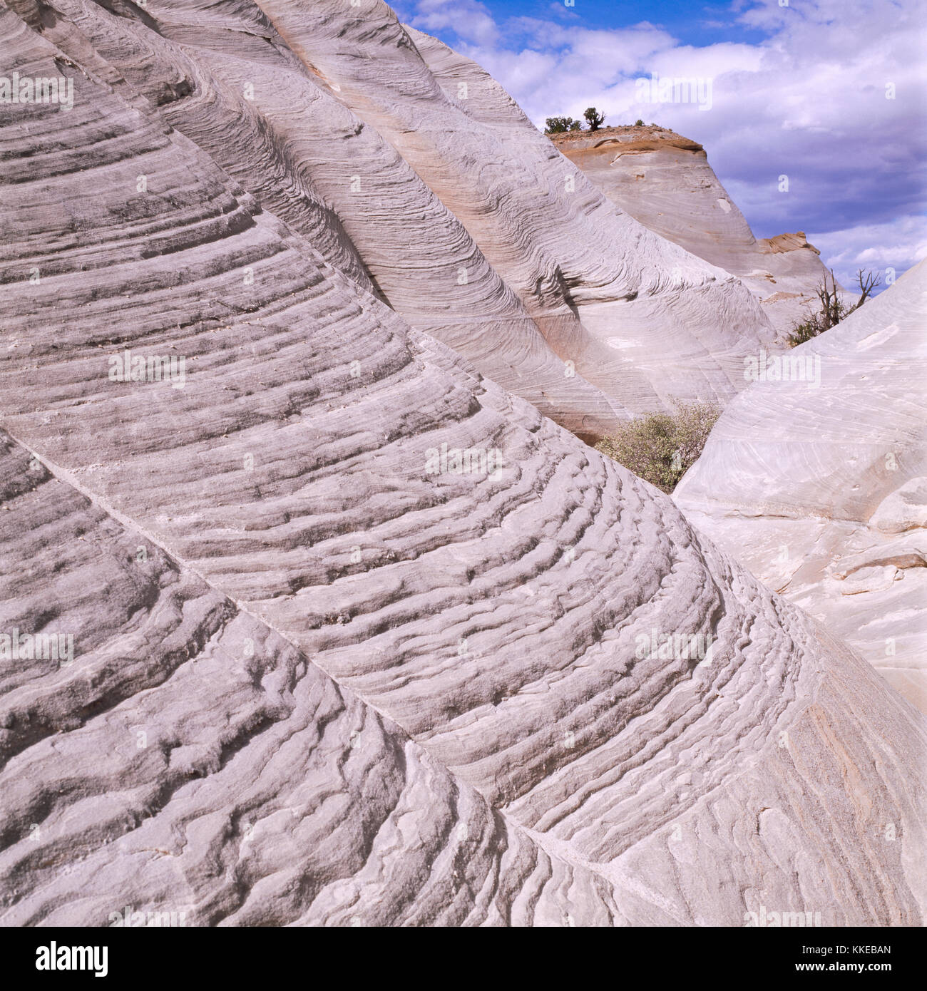 sandstone ridges on the paria plateau near kanab, utah Stock Photo - Alamy