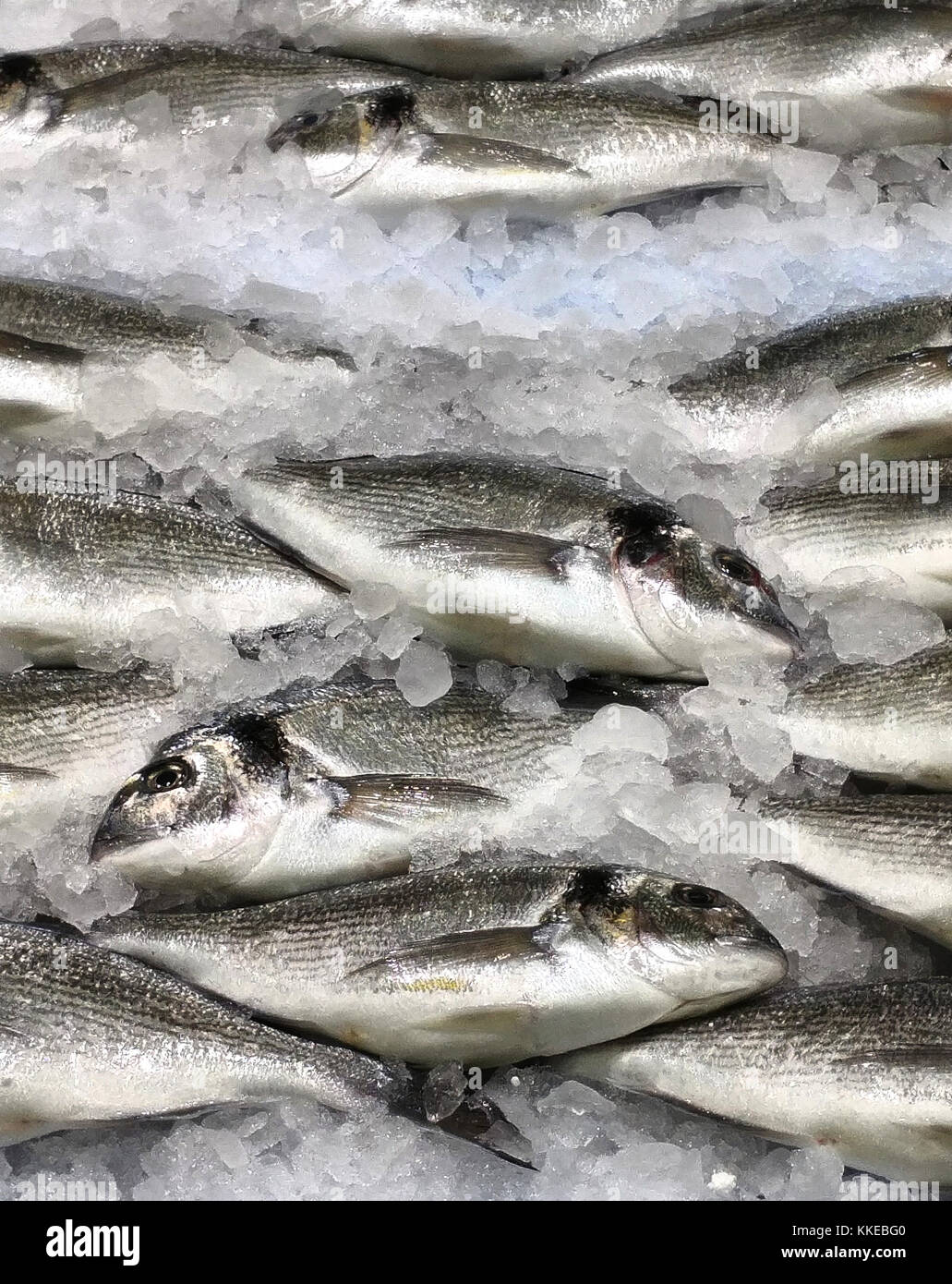 gilt head fish on ice Stock Photo - Alamy