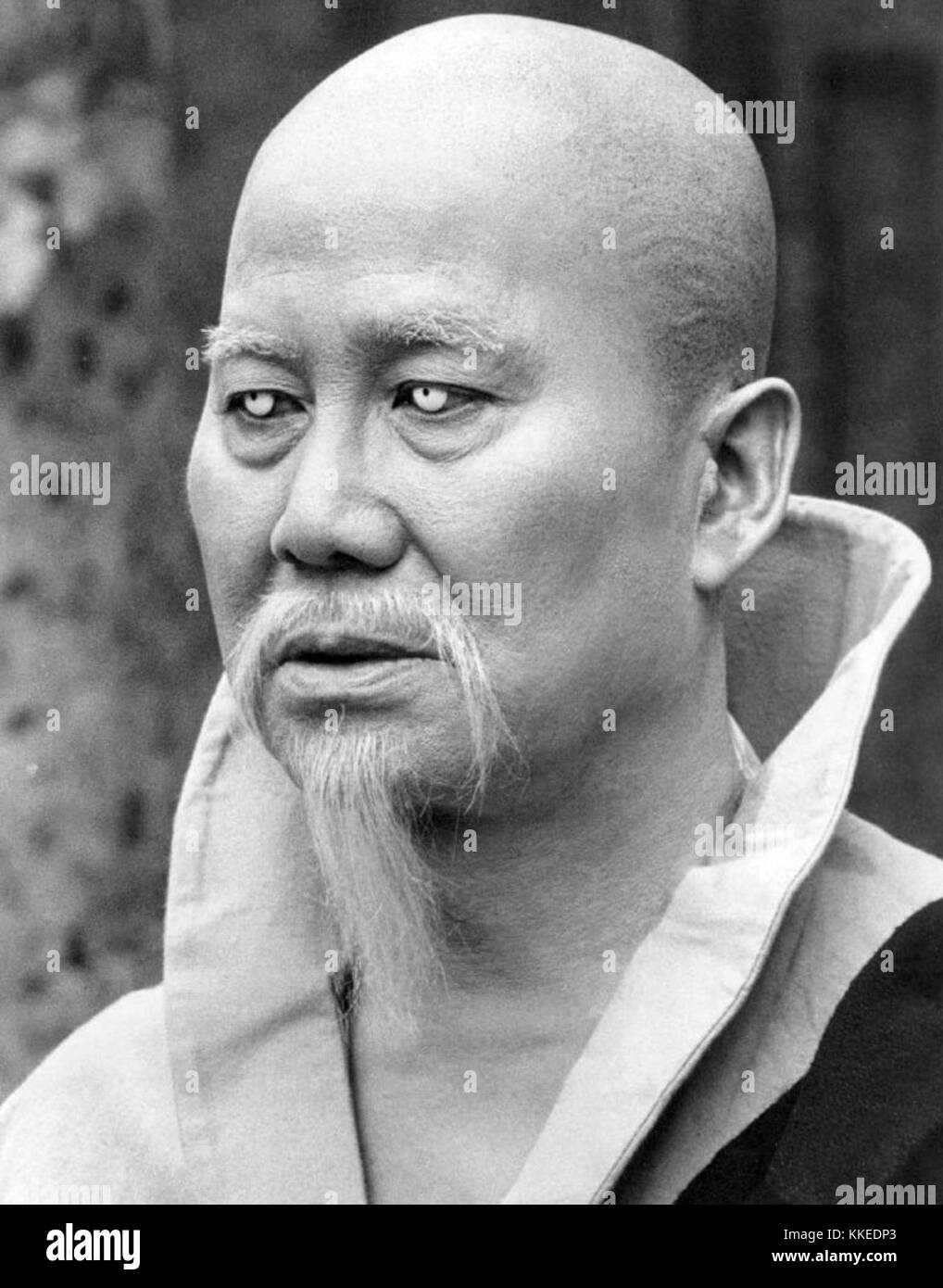 Chinese Kung Fu Master