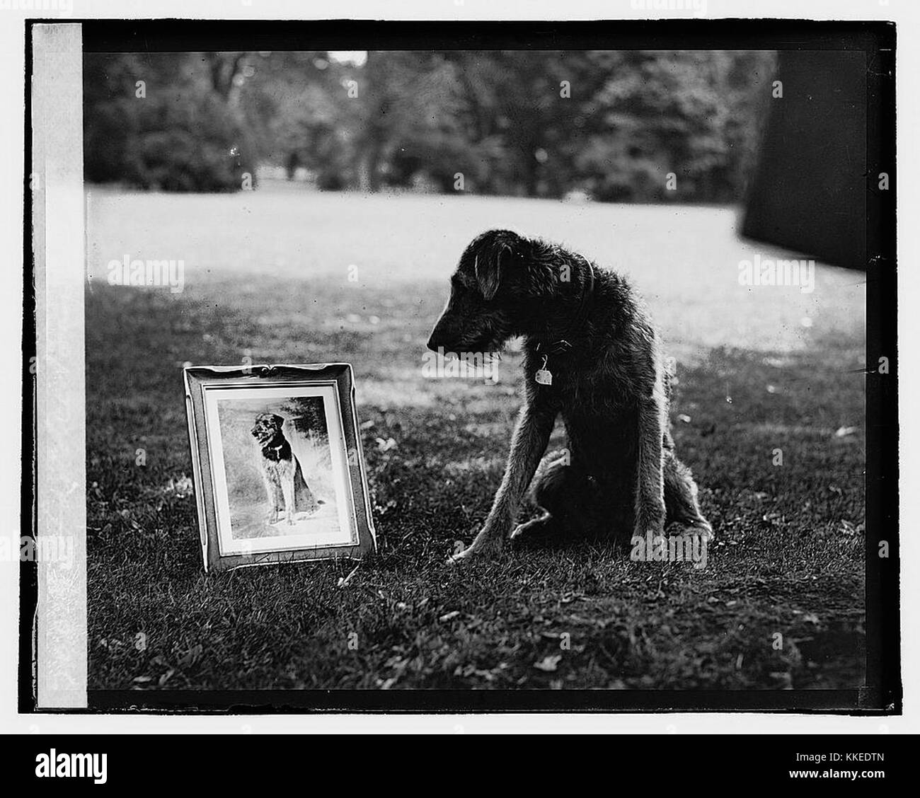 Warren house Black and White Stock Photos & Images - Alamy