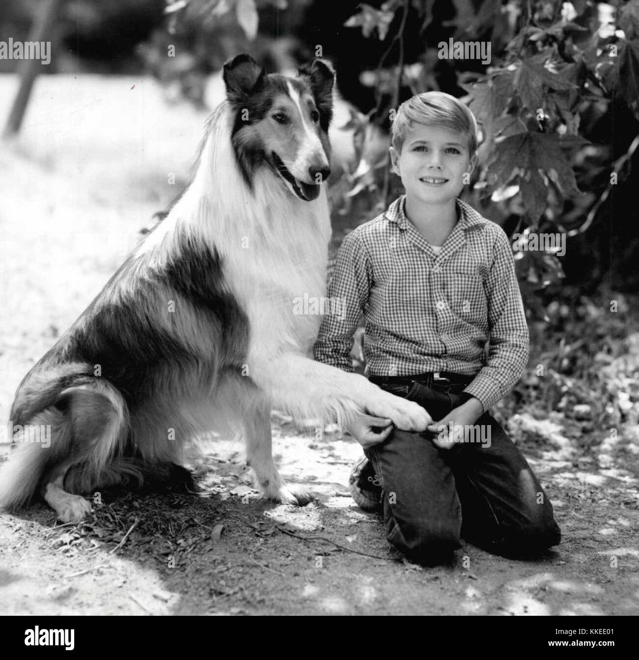 Jon Provost portraying the character of Timmy in the 1960s television ...