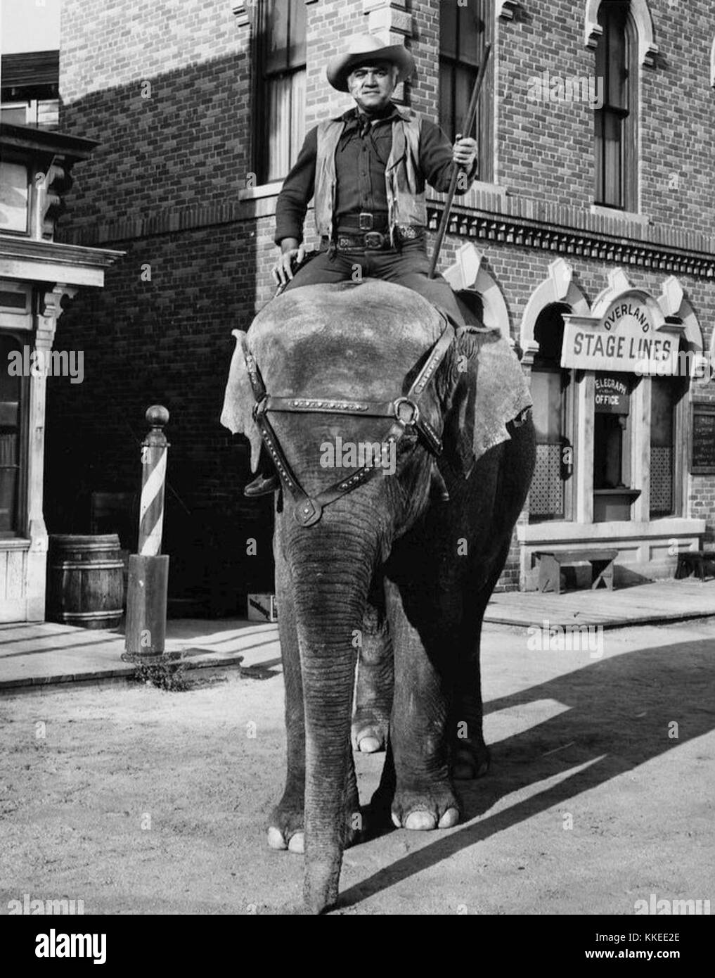 Lorne Black and White Stock Photos & Images - Alamy