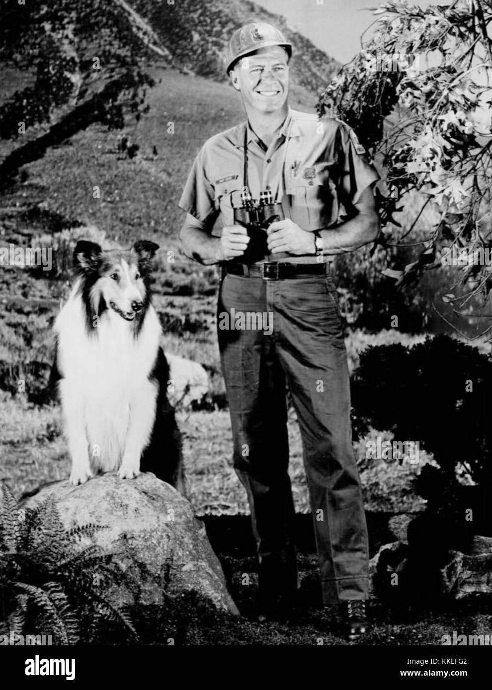 Robert Bray Lassie 1967 Stock Photo - Alamy