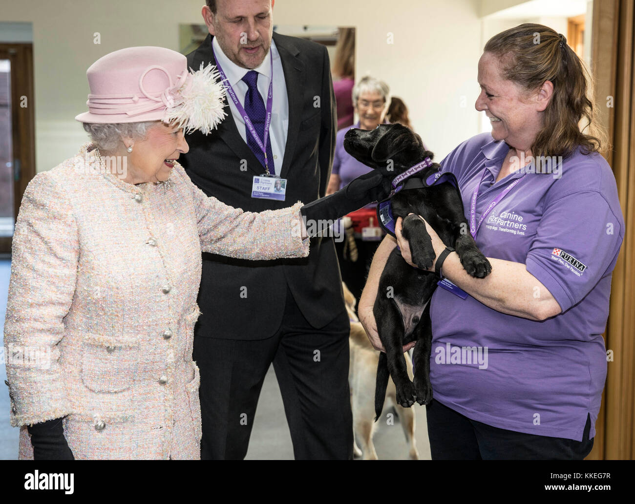 Queen Elizabeth II is introduced to 12 week old Labrador puppy "Flint ...