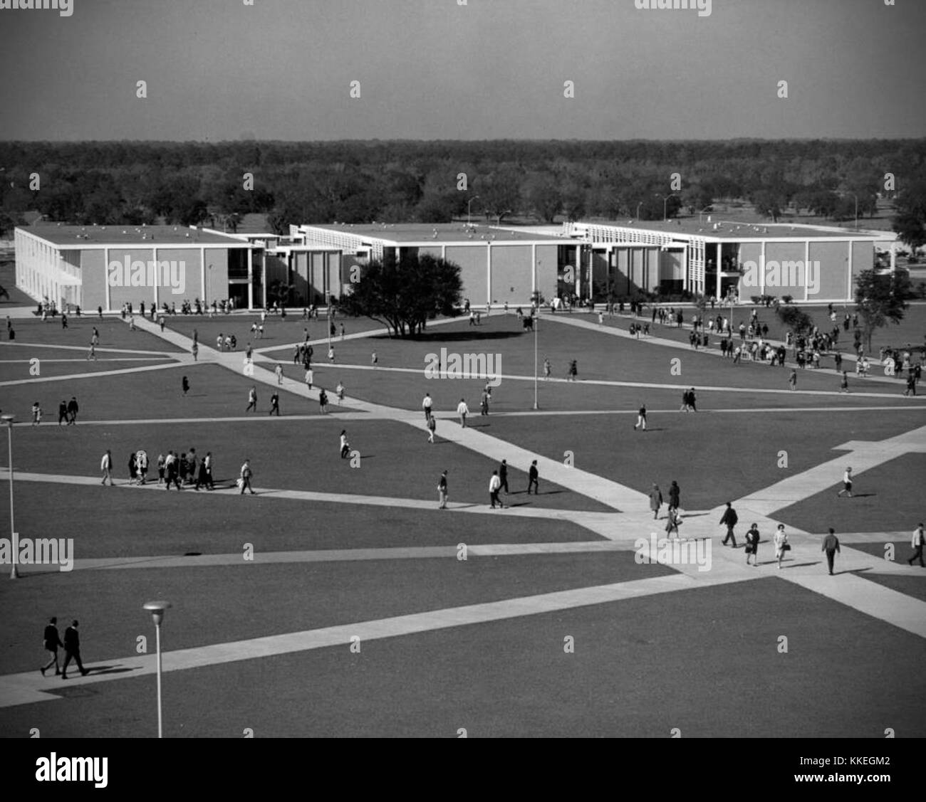 USF CoTA-founding image Stock Photo - Alamy