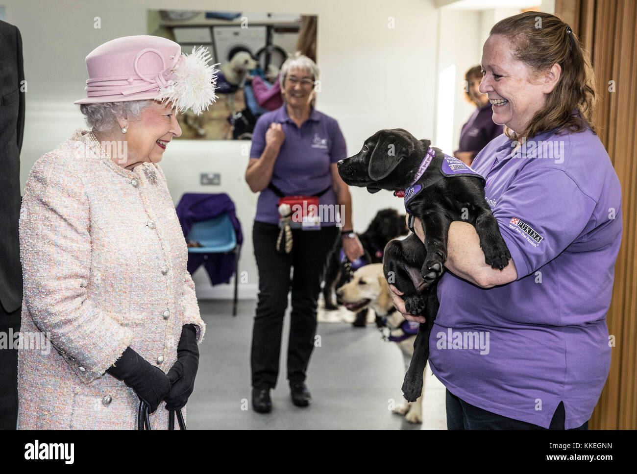 Queen Elizabeth II is introduced to 12 week old Labrador puppy "Flint ...
