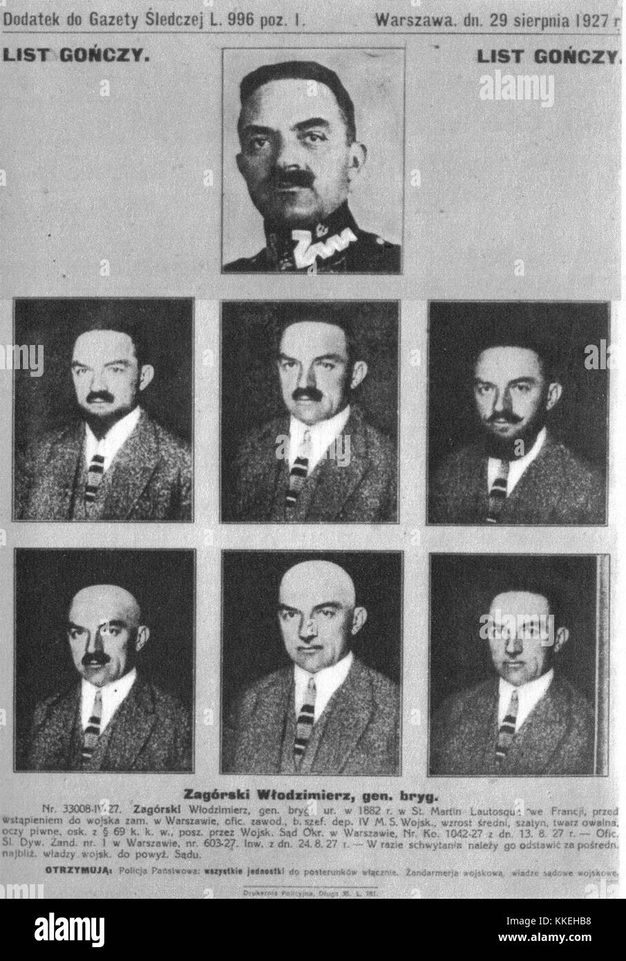 The Zagorski list gonczy is a breed of dog native to Croatia, known for ...