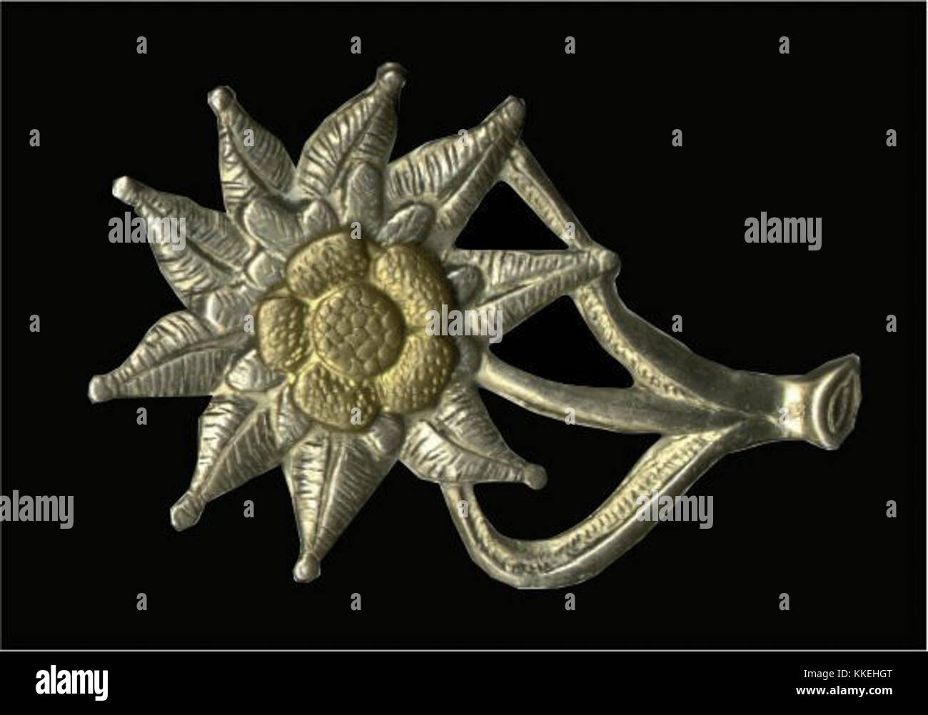 The 1st Tank Battalion Beret Badge, a military insignia, represents the ...