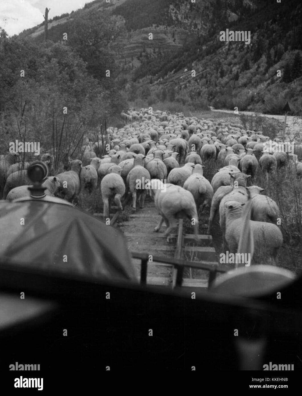 The Galloping Goose is a historic railcar that operated in the early ...
