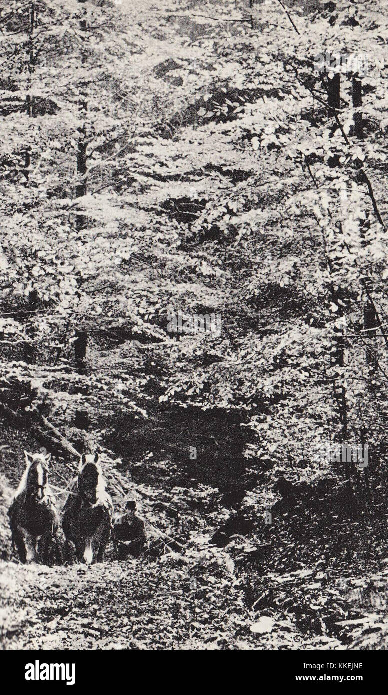 A photo of the Bieszczady Mountains, specifically the Gorna Solinka ...