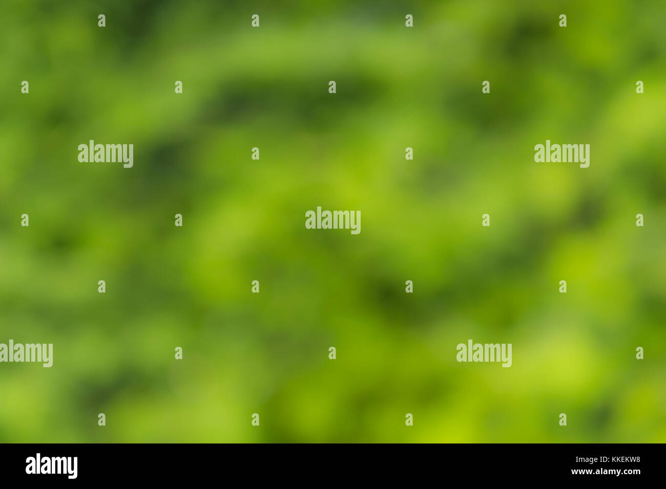 Abstract green natural background of trees Stock Photo - Alamy