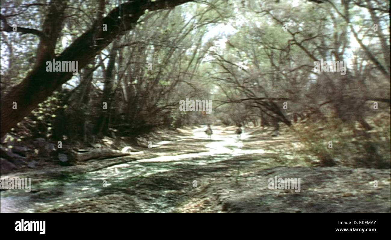 Lance knight medieval hi-res stock photography and images - Alamy