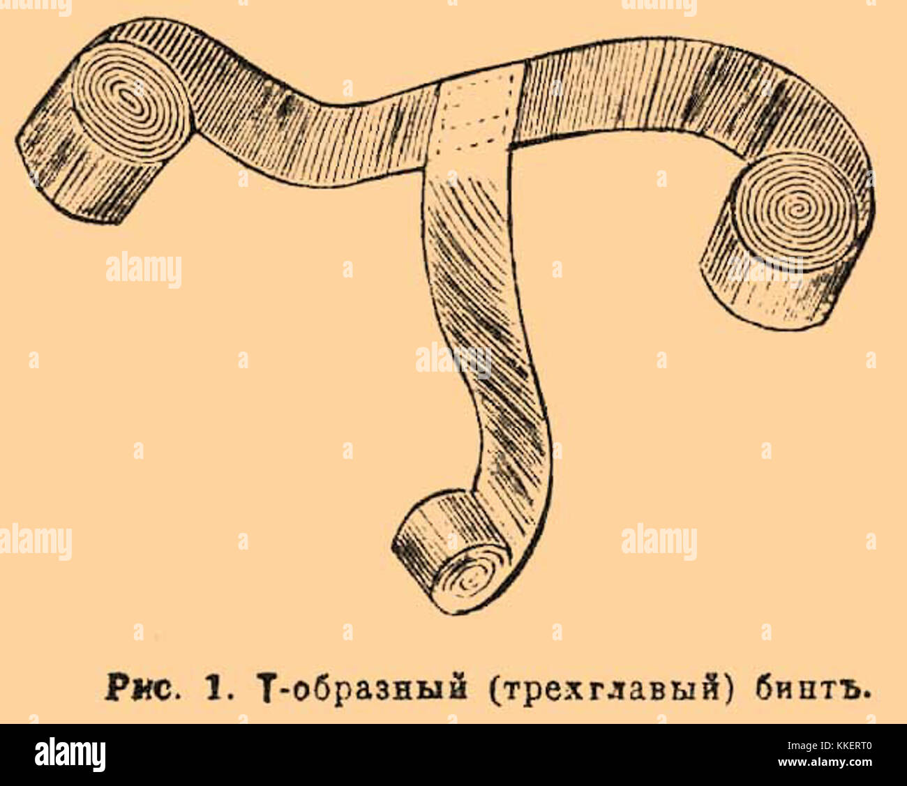 The Brockhaus and Efron Encyclopedic Dictionary is a comprehensive ...