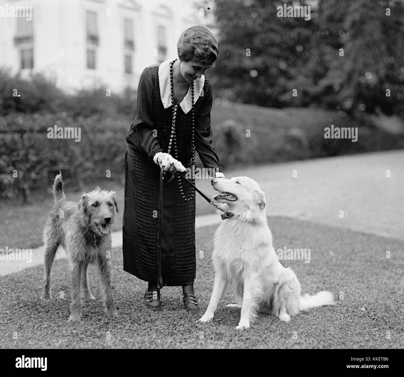 Two dogs photo Black and White Stock Photos & Images - Alamy