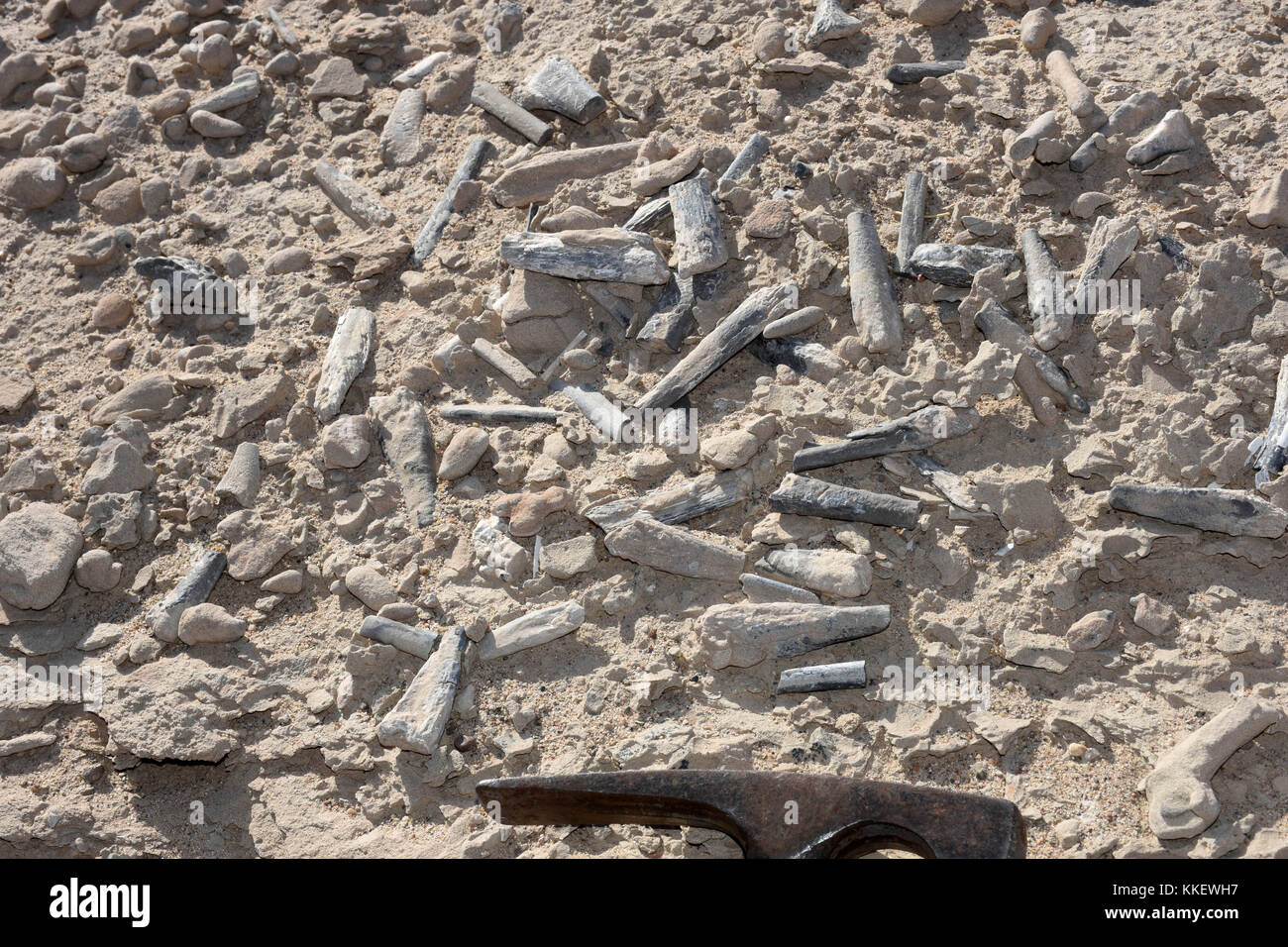 Washington, USA. 30th Nov, 2017. The undated photo shows hundreds of ...