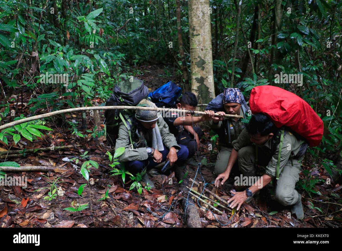 Aceh, Indonesia. 30th Nov, 2017. Indonesian forest rangers try to ...