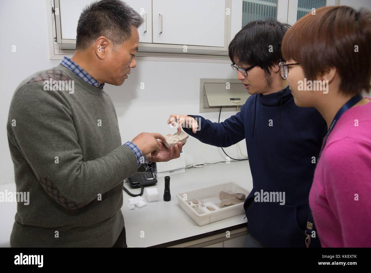 Hamipterus tianshanensis hi-res stock photography and images - Alamy