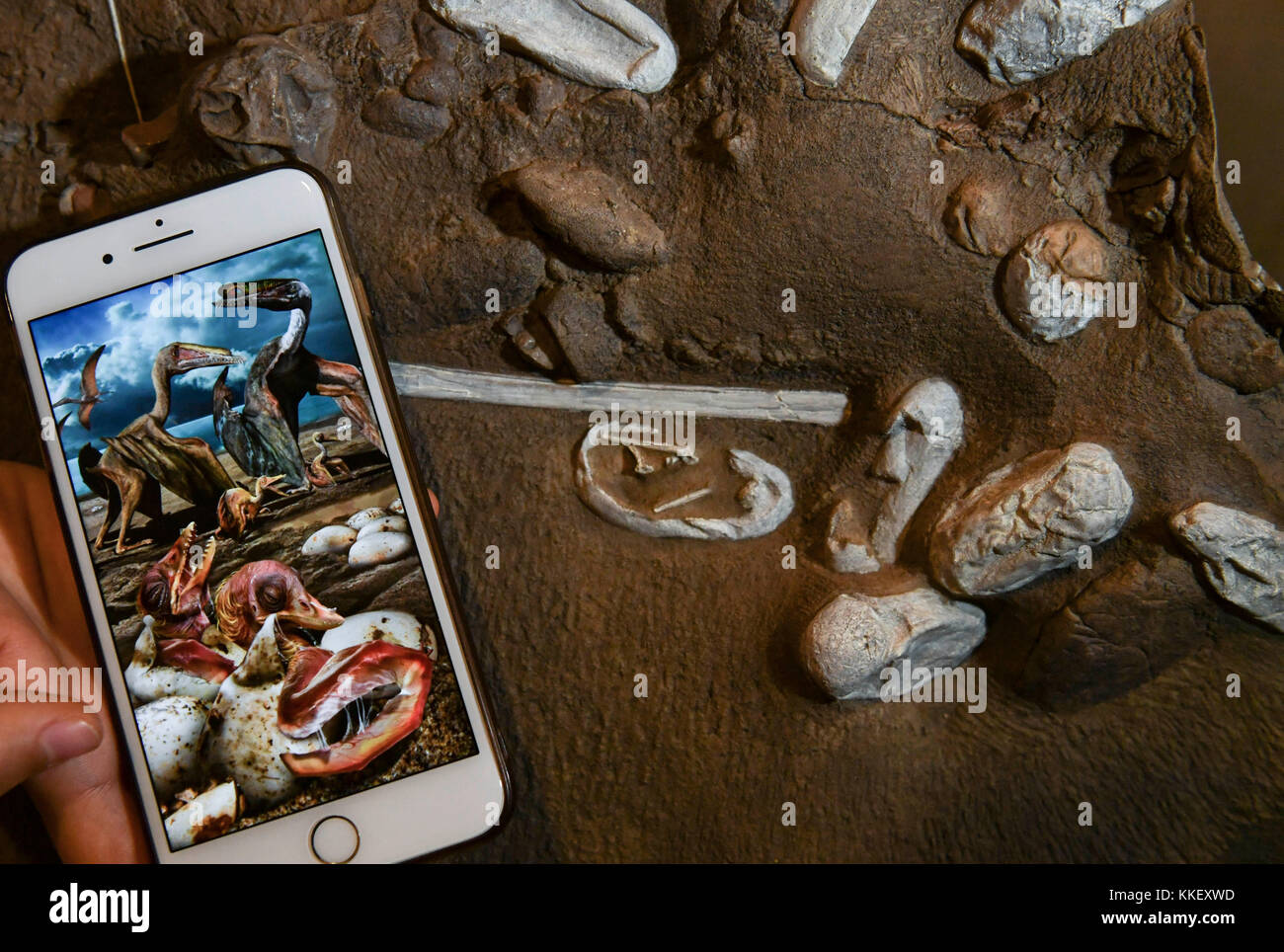 Urumqi. 30th Nov, 2017. A scientist shows reconstruction image of ...
