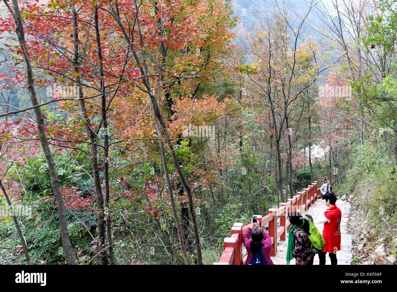 Debao, China's Guangxi Zhuang Autonomous Region. 2nd Dec, 2017 ...