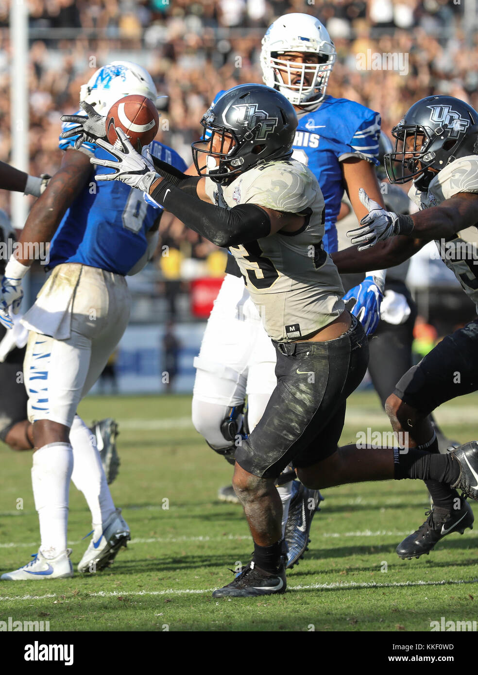 Neal the seal hi-res stock photography and images - Alamy