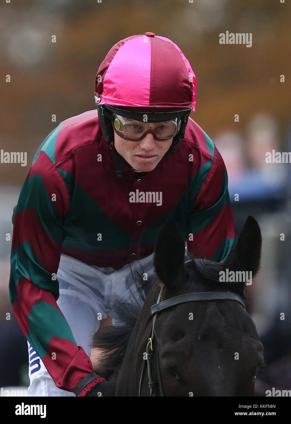 Joshua moore horse hi-res stock photography and images - Alamy