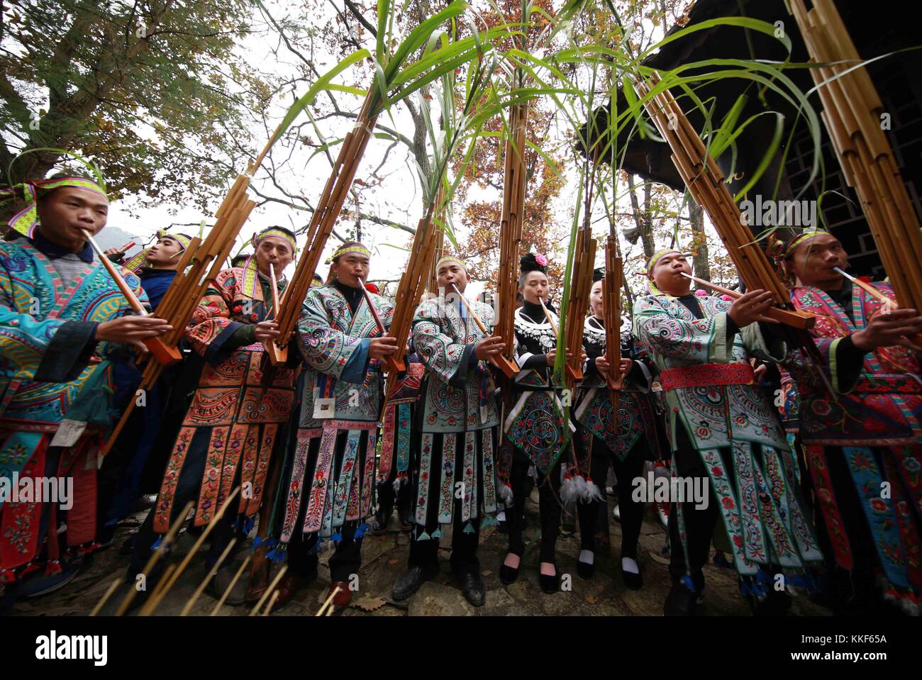 Danzhai. 5th Dec, 2017. People of the Miao ethnic group play the ...