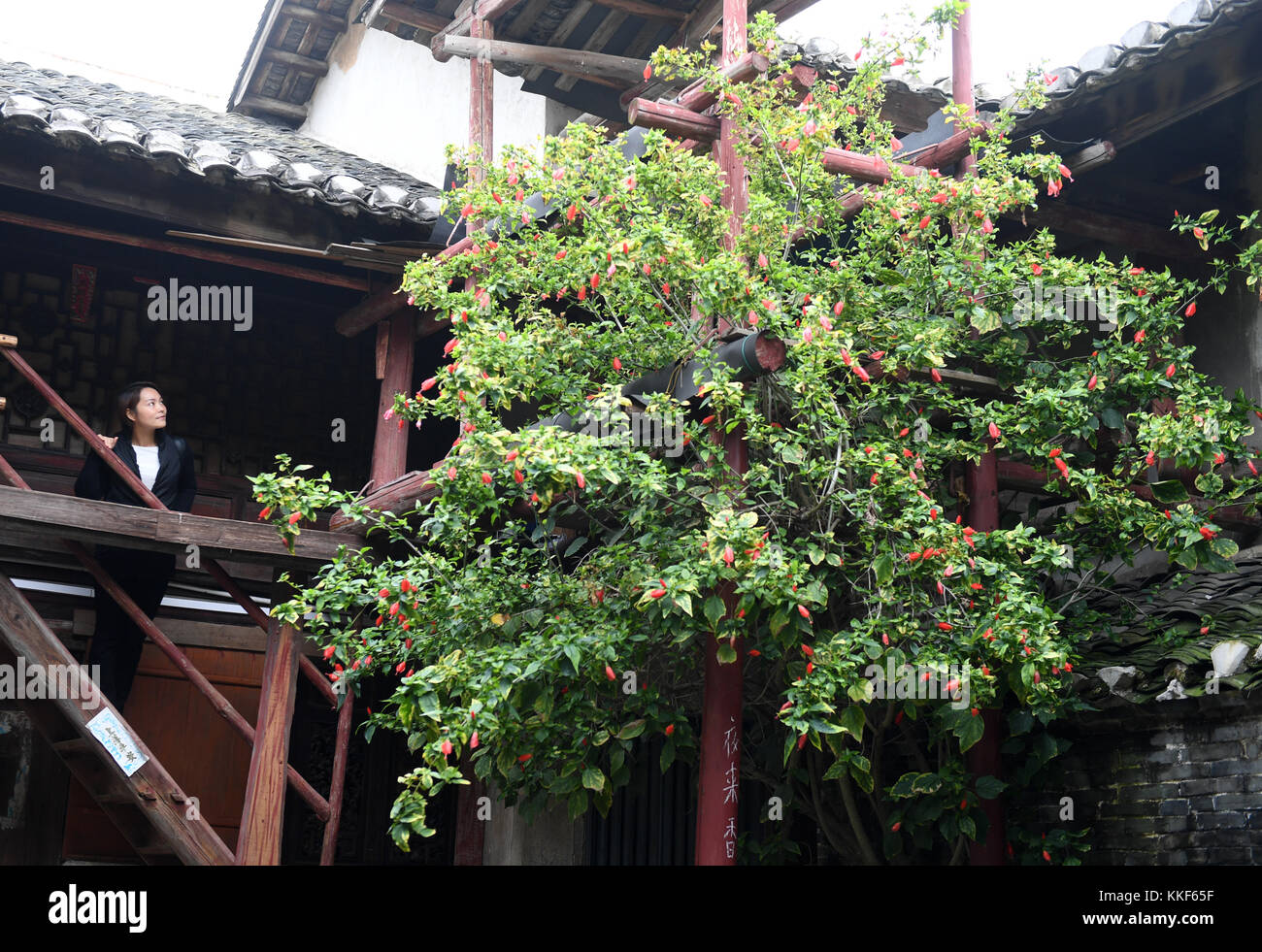 Hakka walled village hi-res stock photography and images - Alamy