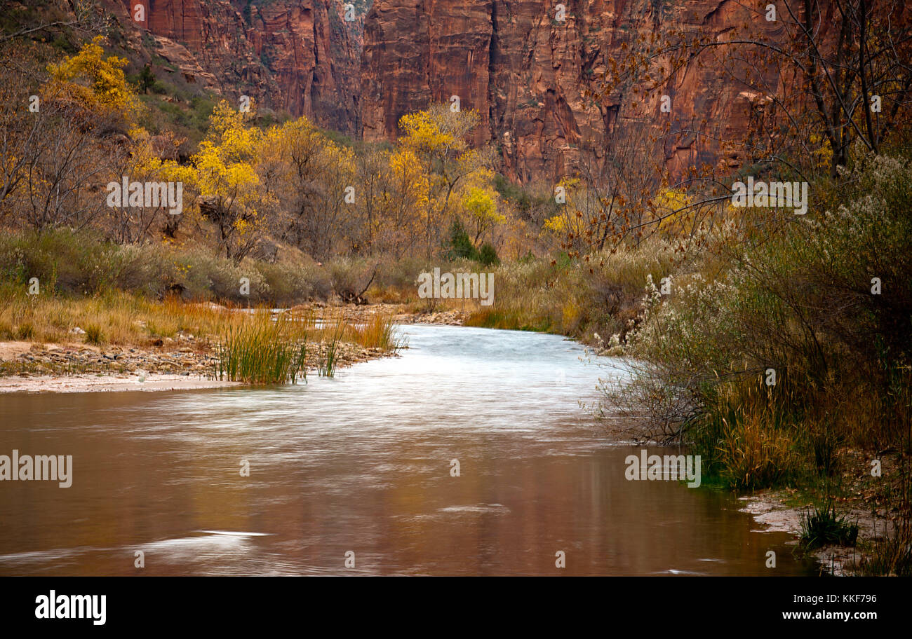 November 16, 2017: An early winter's walk along Zion's Virgin River ...