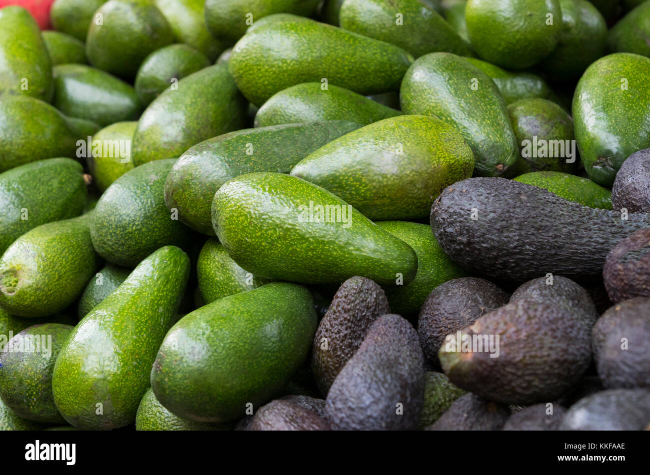 Background of ripe avocado on the market stalls shot close-up Stock ...