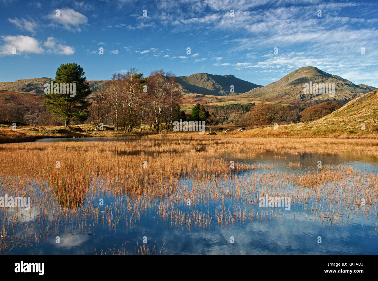 Reflections in Kelly Hall Tarn, with the old man of Coniston gracing ...