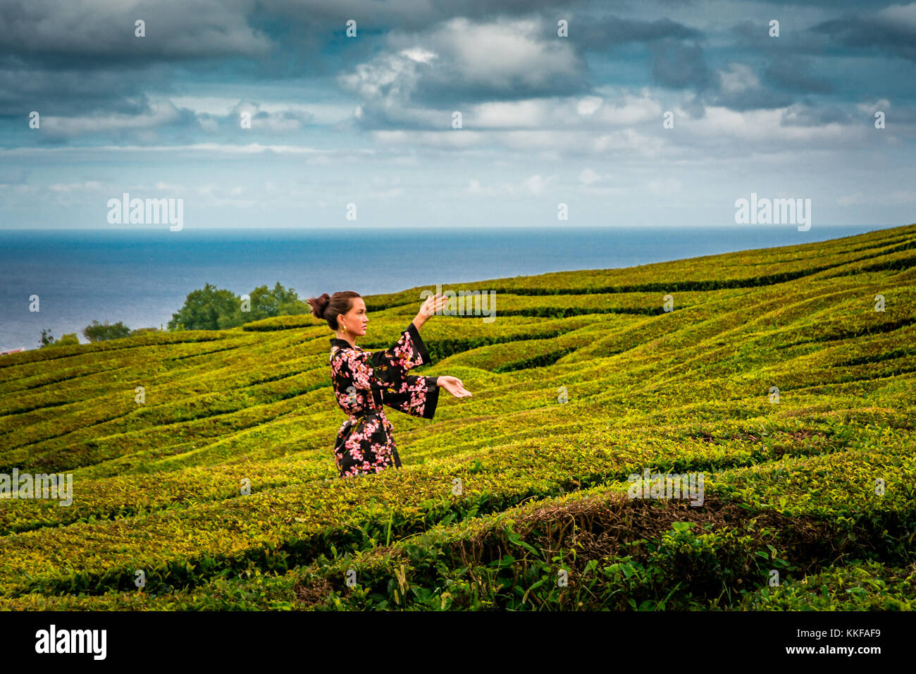 Beautiful Caucasian girl wearing Kimono at tea plantations in Sao ...