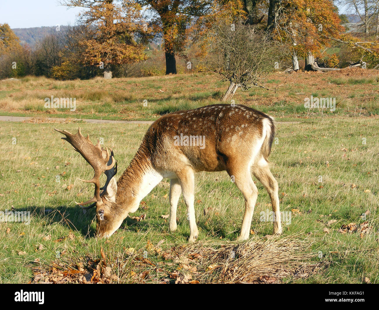 Rural tourists spots hi-res stock photography and images - Alamy