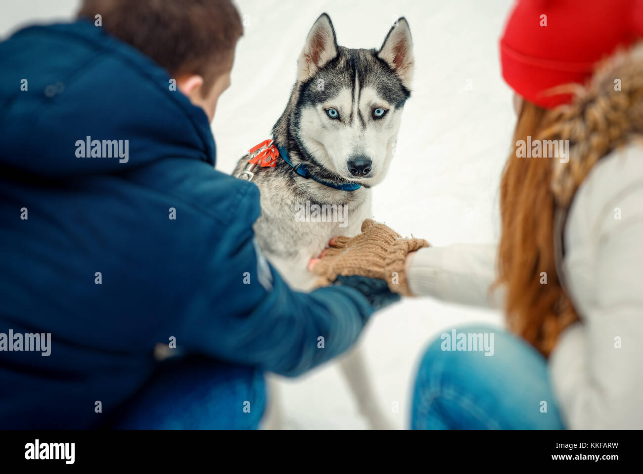 Back view of the couple holding hands and waiting for siberian husky to ...