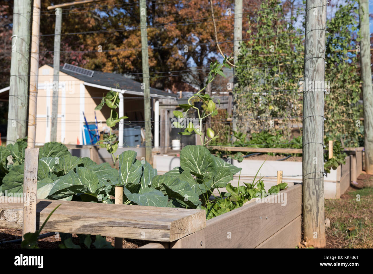 Shed vegetable garden hi-res stock photography and images - Alamy