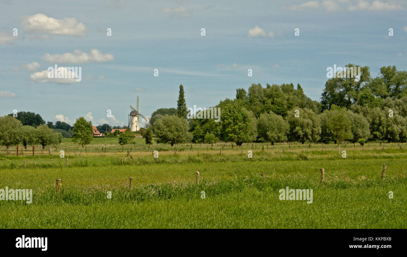 Flemish wetland landscape on a sunny day with fluffy clouds in Oude ...