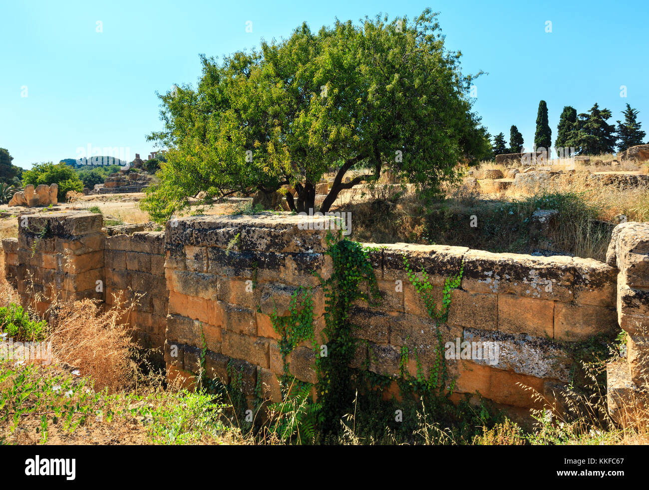Famous ancient ruins in Valley of Temples, Agrigento, Sicily, Italy ...