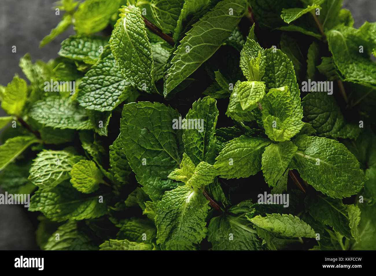Fresh mint leaves. Italian herbs. Dark background Stock Photo - Alamy
