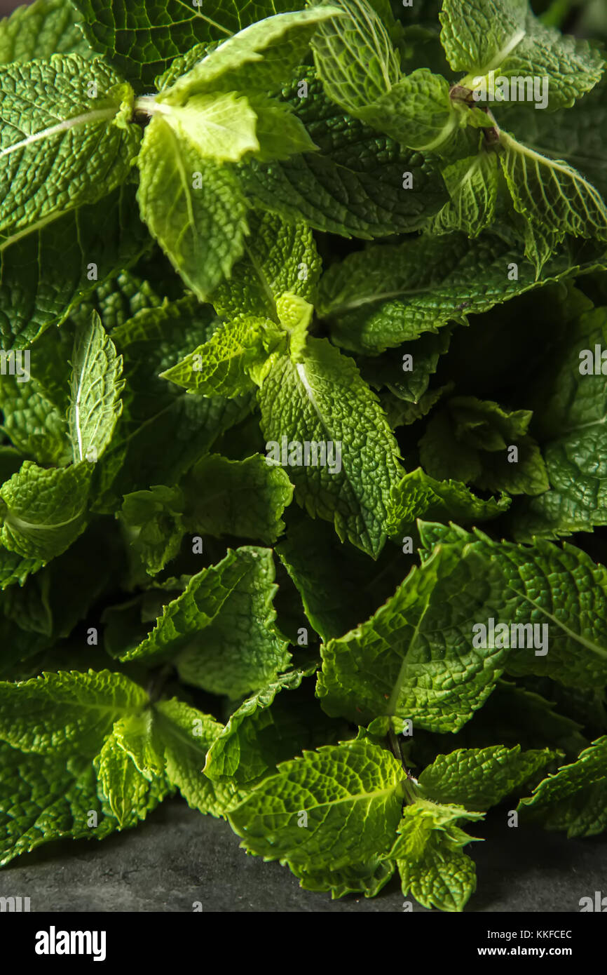 Fresh mint leaves. Italian herbs. Dark background Stock Photo - Alamy