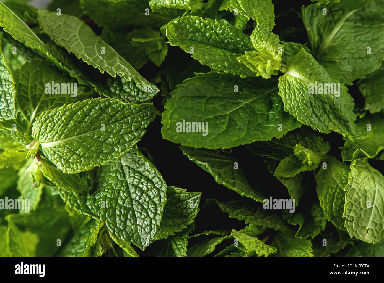 Fresh mint leaves. Italian herbs. Dark background Stock Photo - Alamy