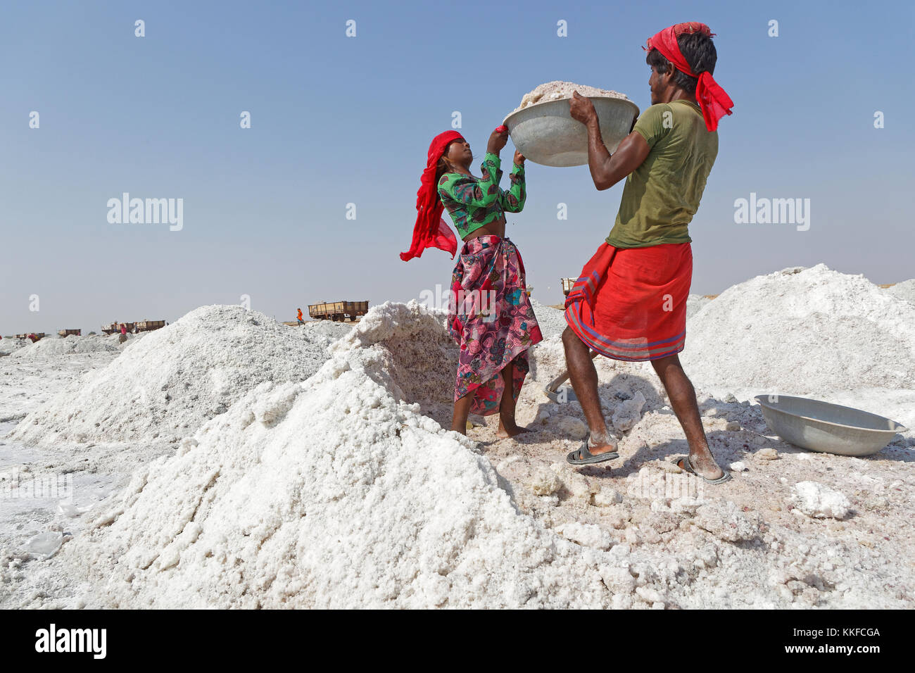 SAMBHAR, INDIA, October 28, 2017 : Works on Sambhar Salt Lake. It is the largest saline lake of ...