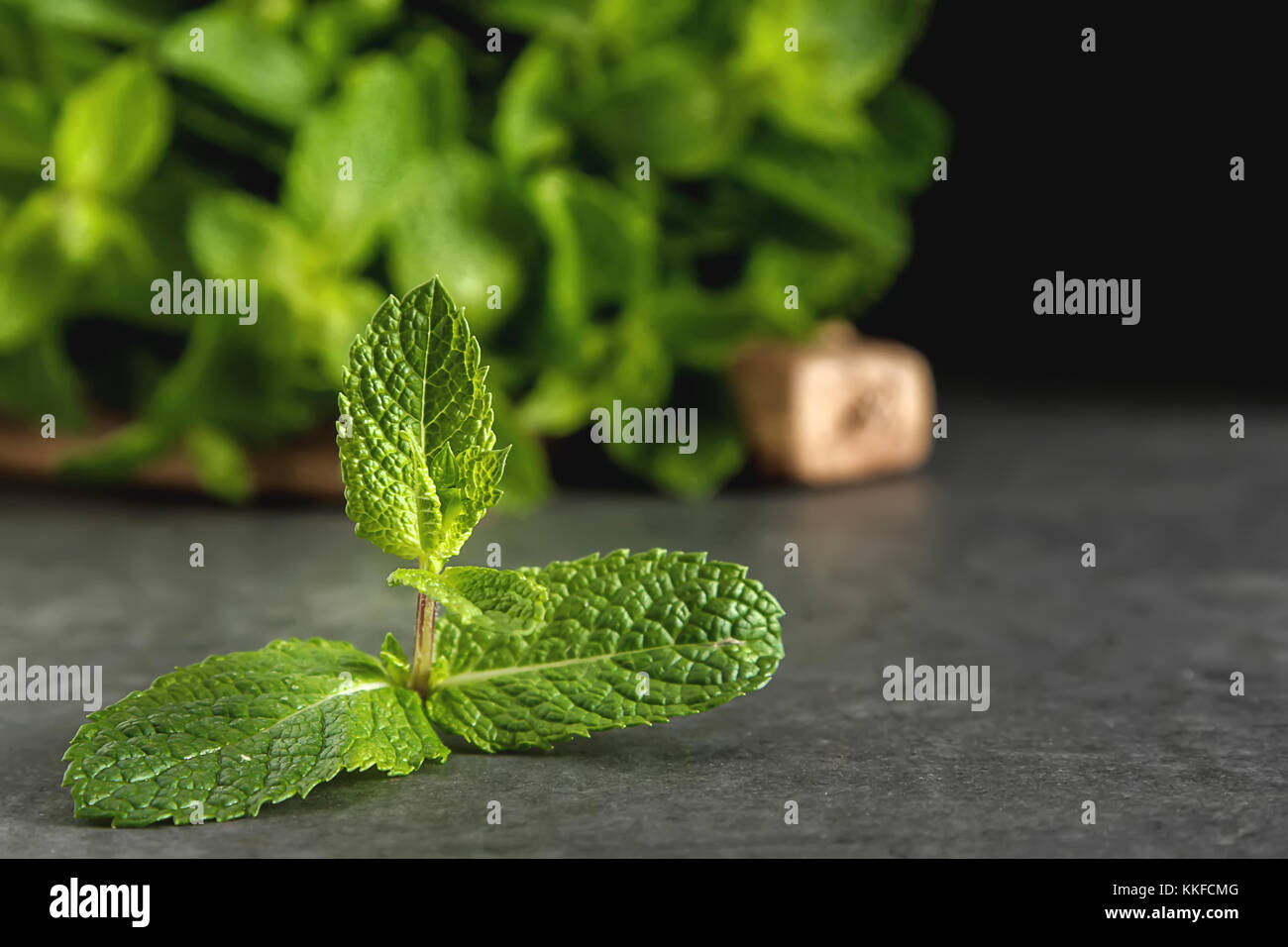 Fresh mint leaves. Italian herbs. Dark background Stock Photo - Alamy