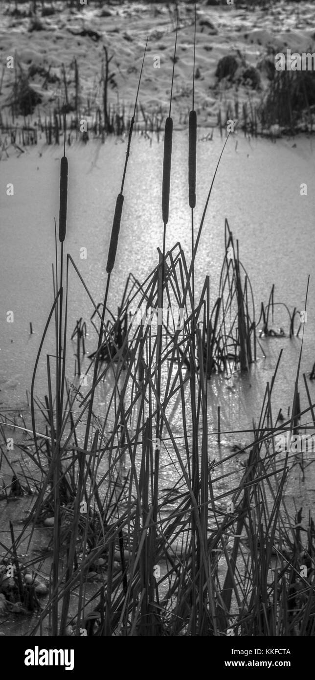 Ice ground photo Black and White Stock Photos & Images - Alamy