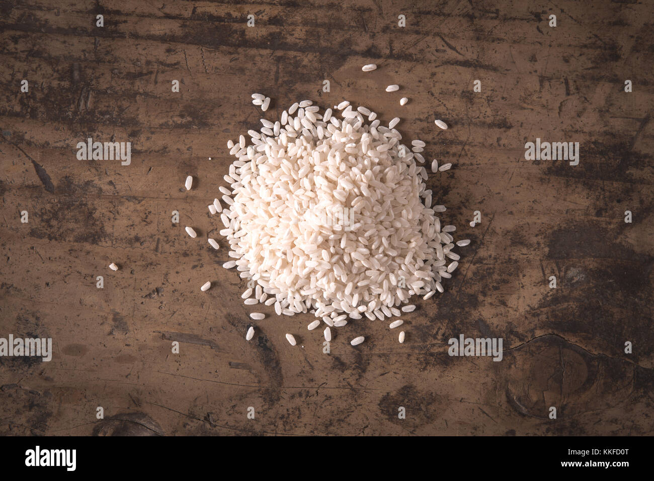 Razza 77 ancient cultivar of italian Rice cultivated at Novara and ...