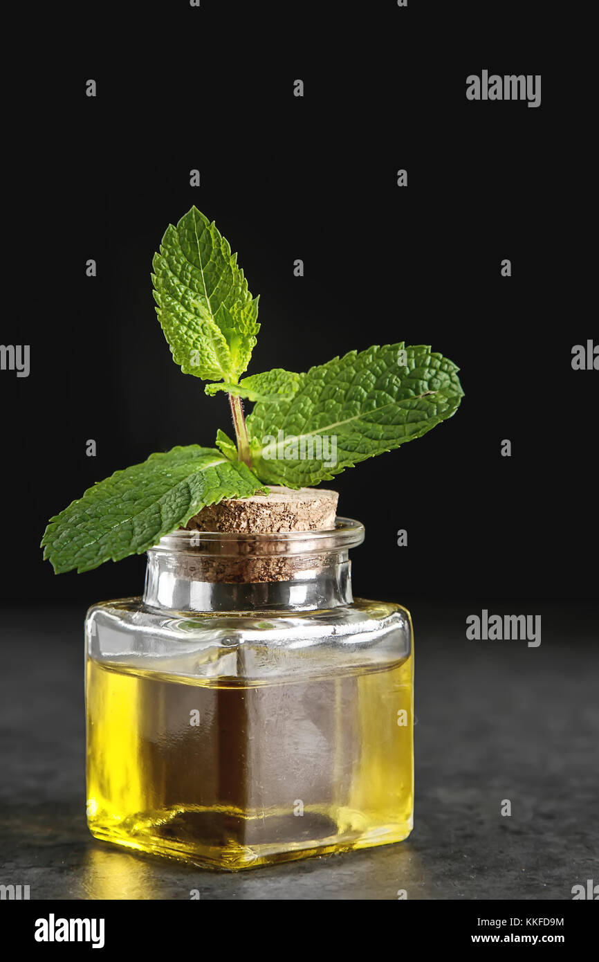 Fresh mint leaves. Italian herbs. Dark background. Oil for food Stock ...