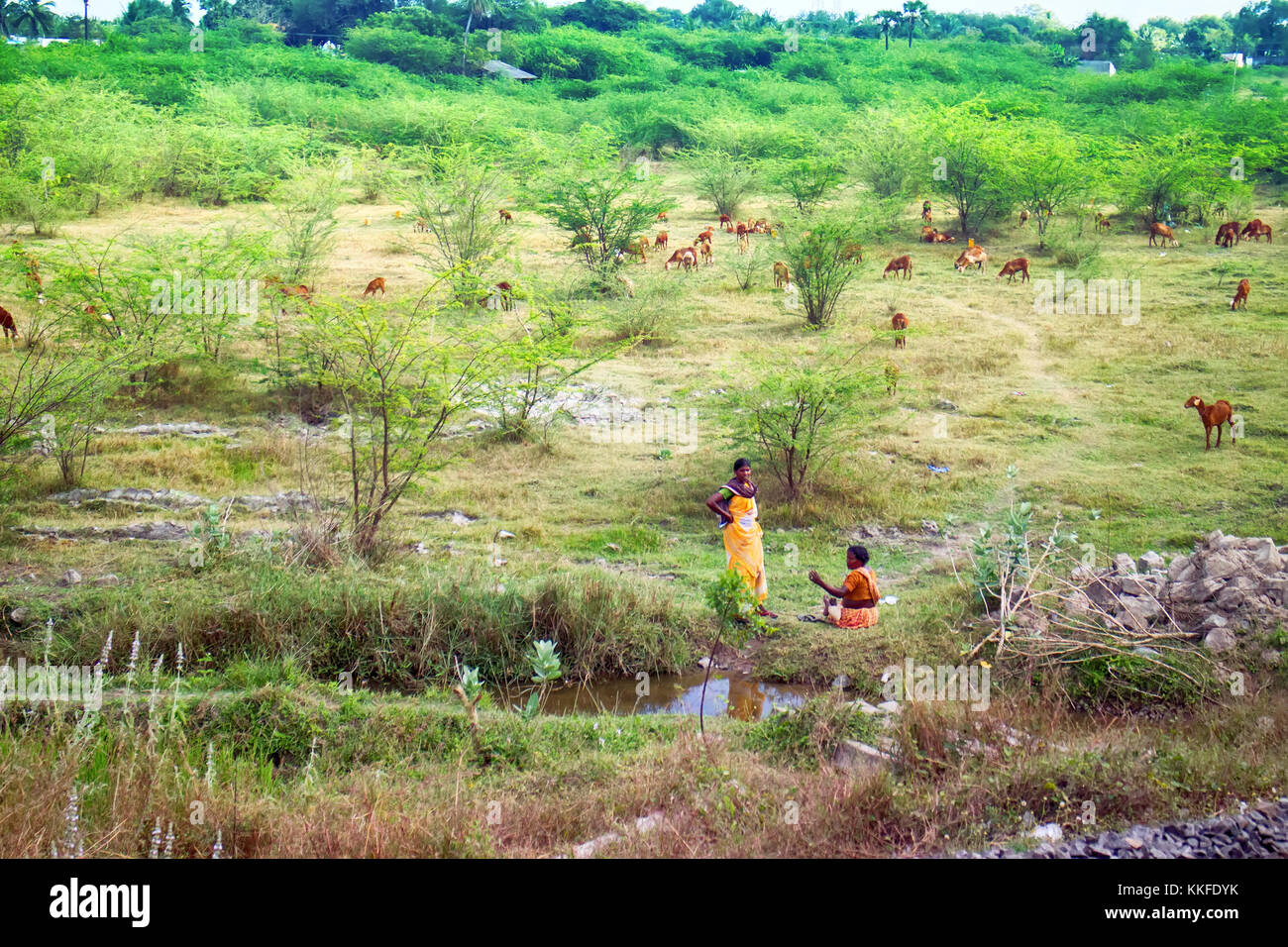 Overexploitation soil hi-res stock photography and images - Alamy